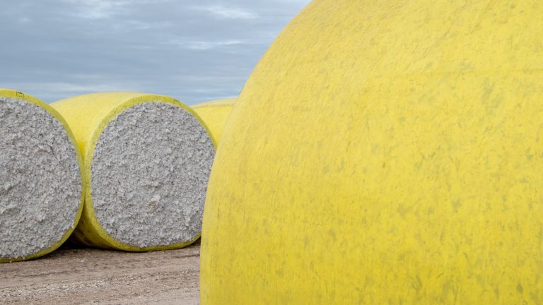 Australian Cotton | Home